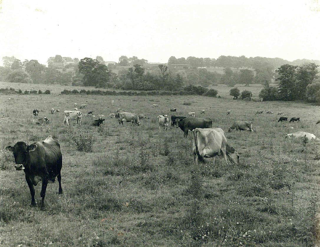 Foggage Farming, Then And Now - Eat, Shop & Play at Fordhall